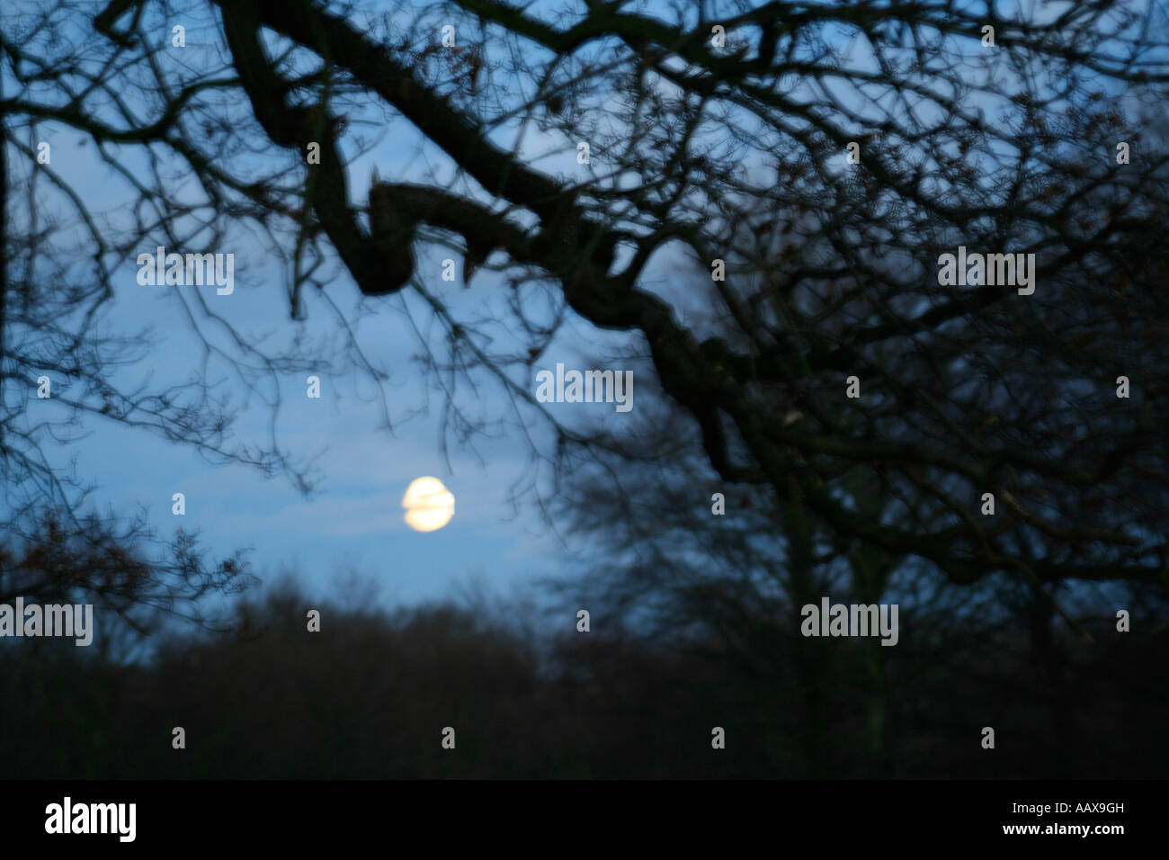 Witching hour hi-res stock photography and images - Alamy