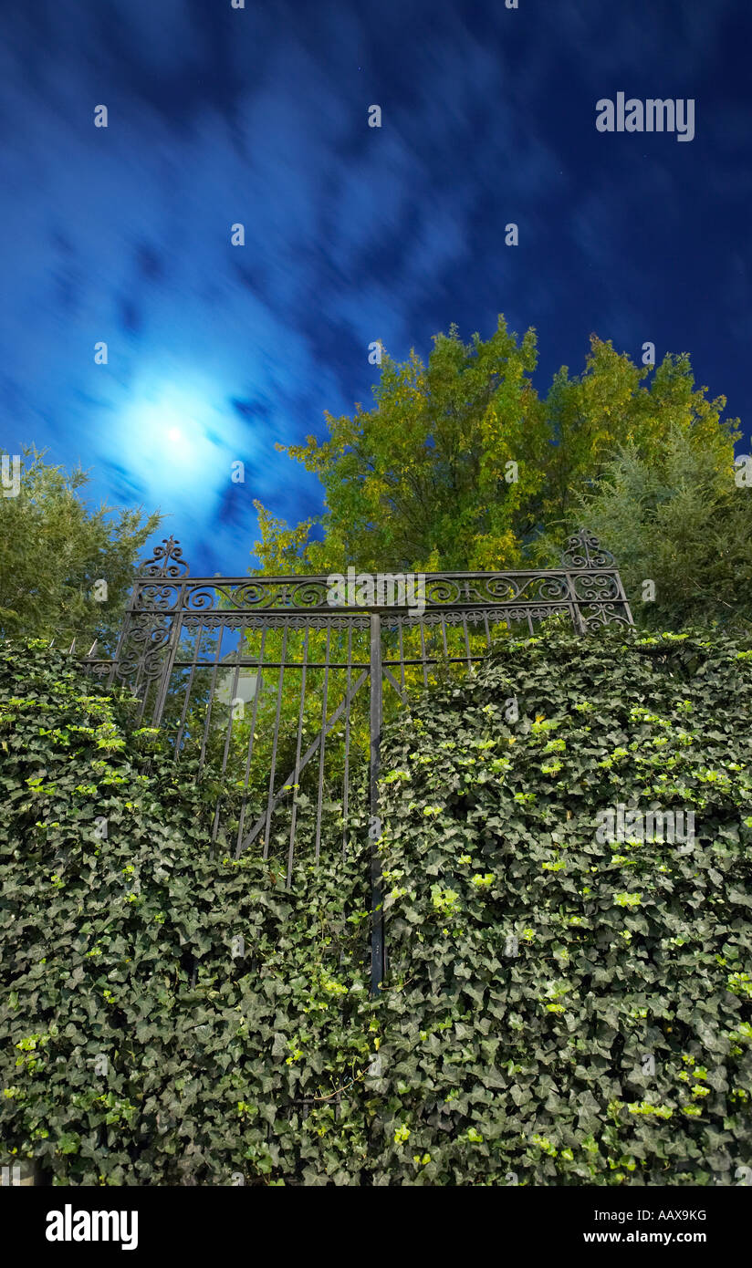 overgrown fence at night Stock Photo - Alamy