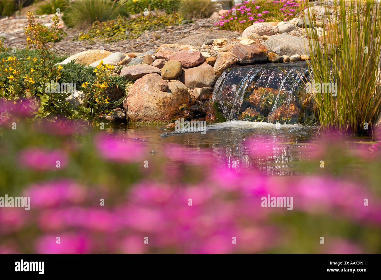 pond with waterfall Stock Photo - Alamy