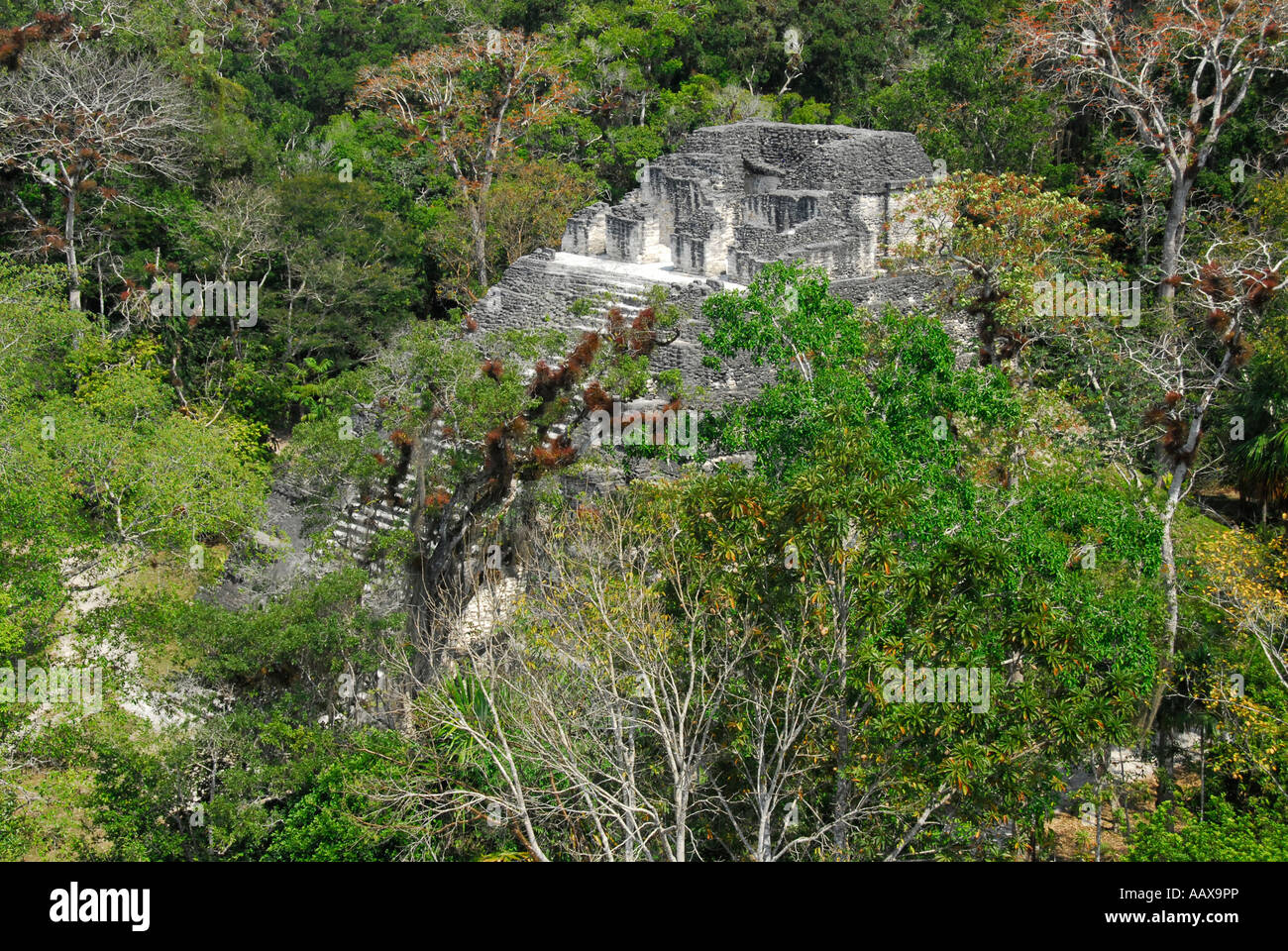 Pyramid in the complex of the Plaze of the Lost World, Tikal Ruins, El ...