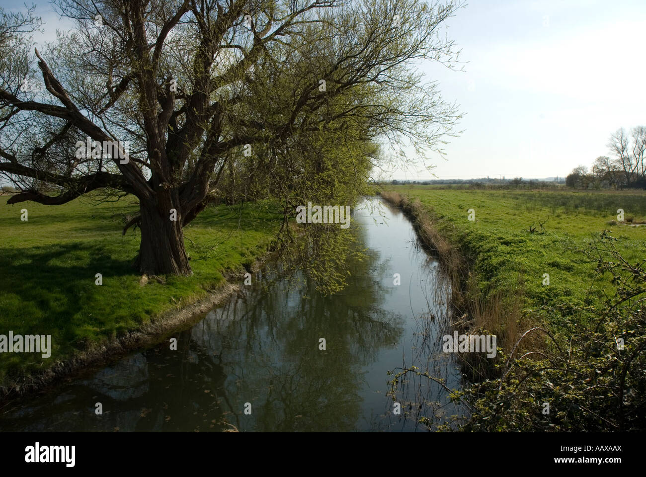 Dover of peace hi-res stock photography and images - Alamy