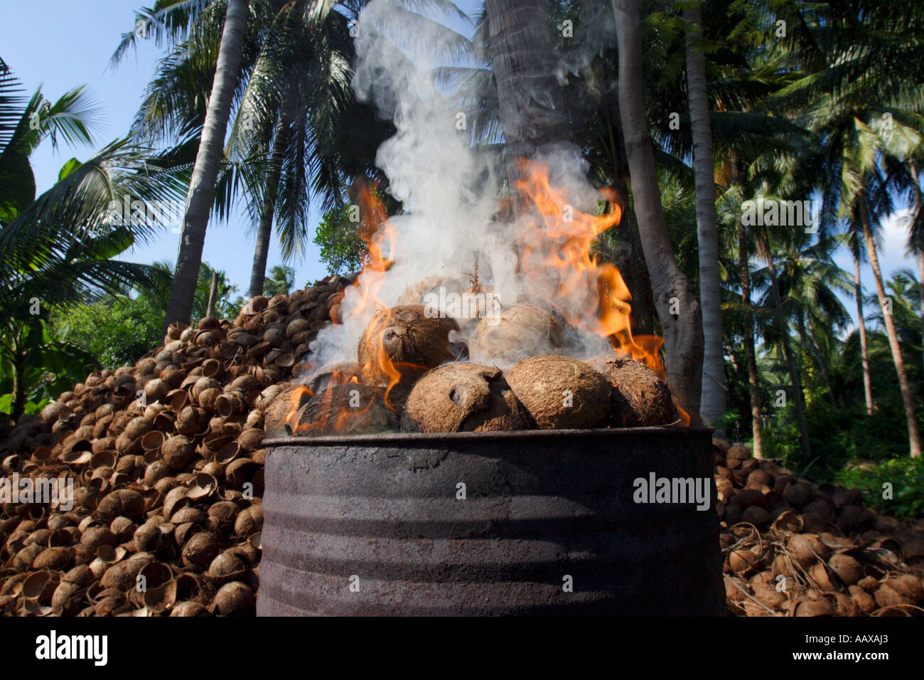 Burning coconut husks to make charcoal, Koh Samui, Thailand Stock Photo ...