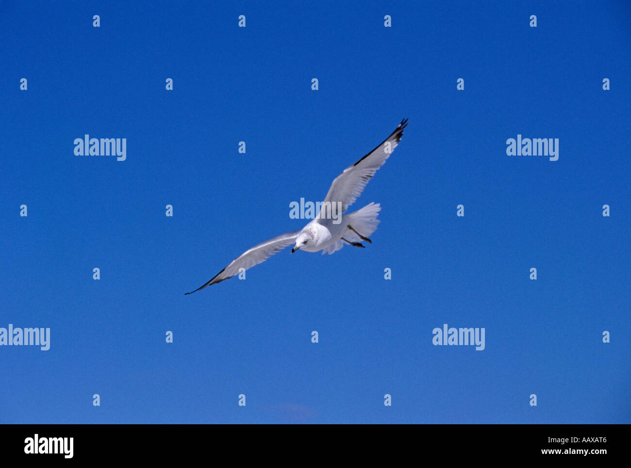 Flying to eternity hi-res stock photography and images - Alamy