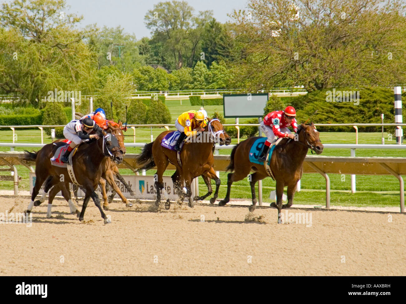 Arlington park horse chicago hi-res stock photography and images - Alamy