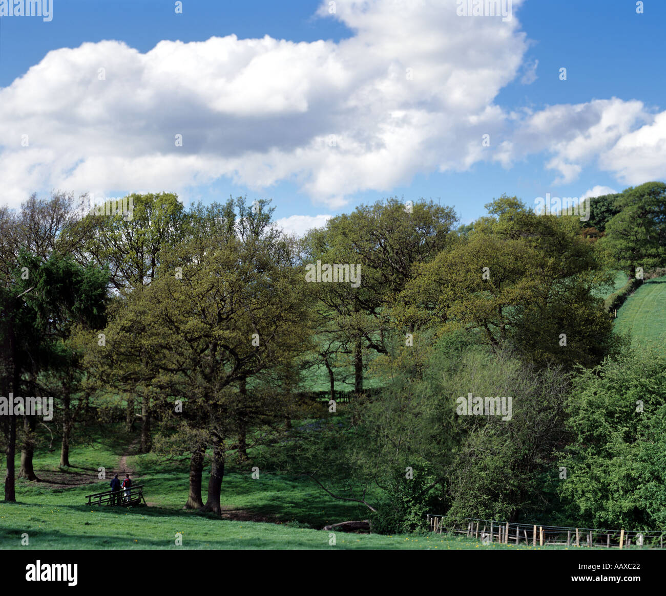 Wingfield park uk hi-res stock photography and images - Alamy