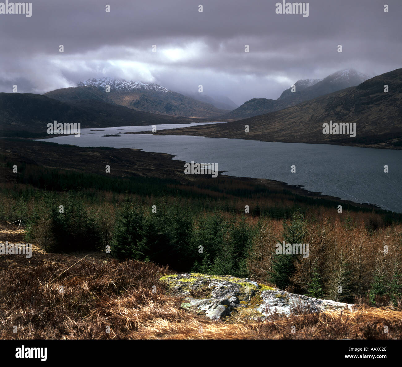Loyne hi-res stock photography and images - Alamy