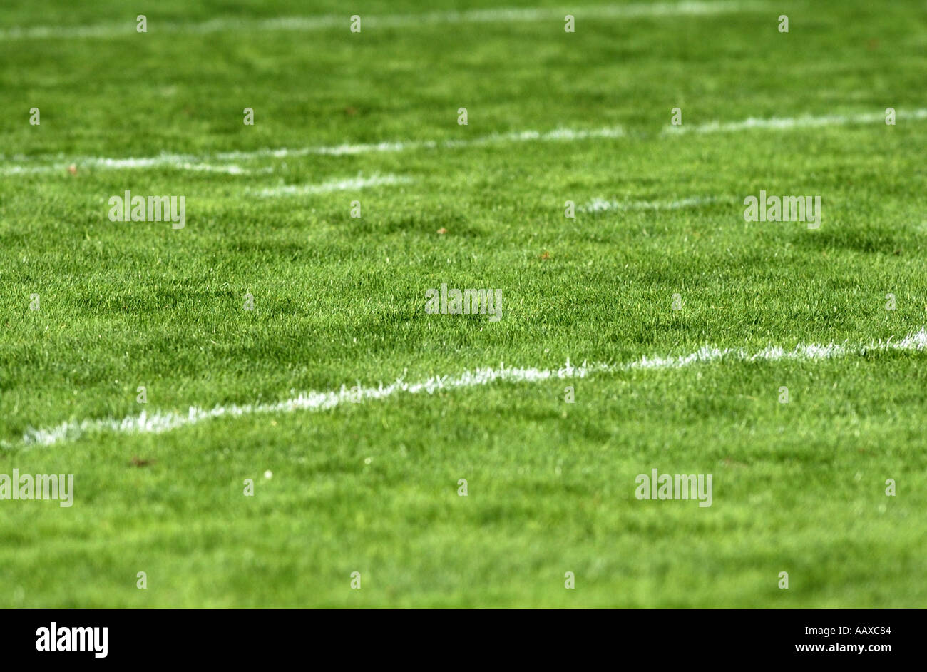 Professional soccer field hi-res stock photography and images - Alamy