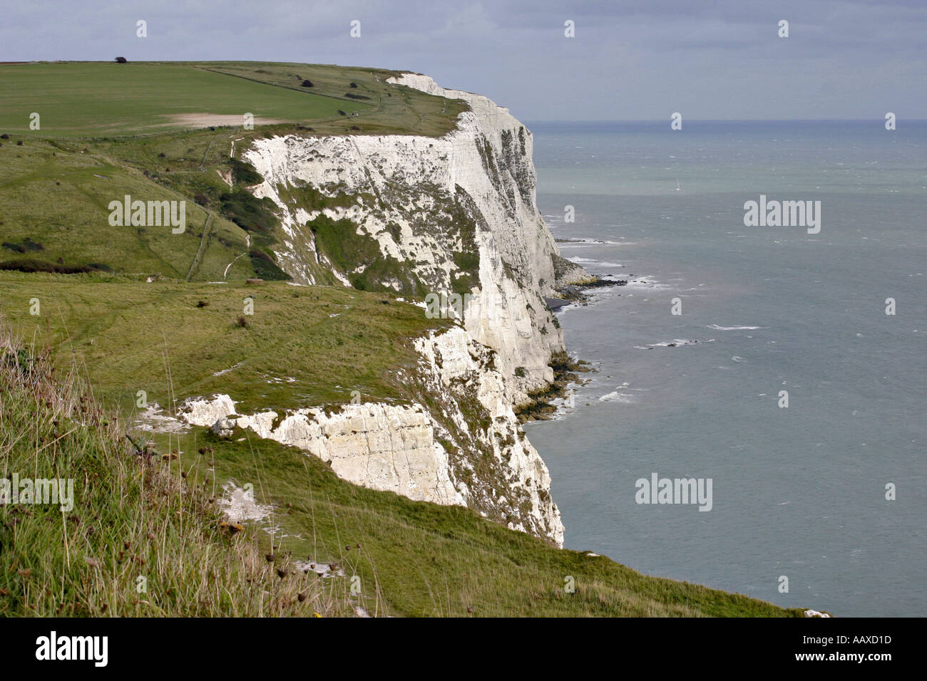 white cliffs of dover england britain uk english channel united kingdom ...