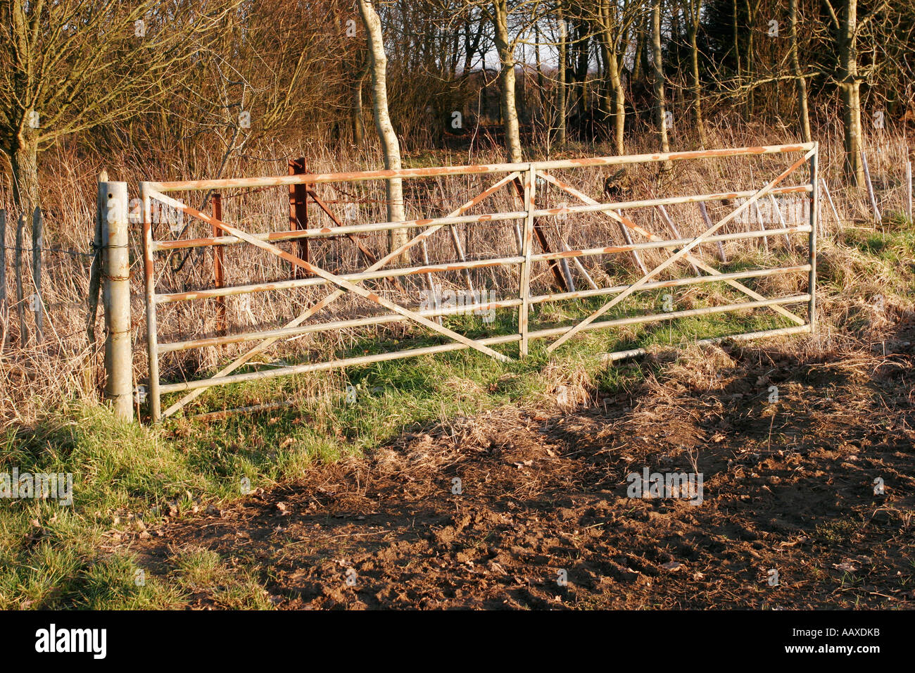 Farm gate with woodland in the background. Hampshire England UK Stock ...