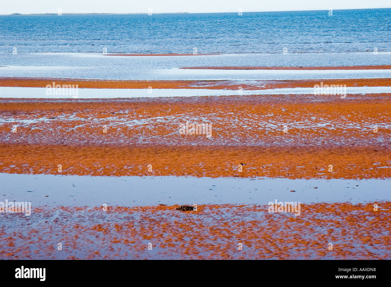 Red sand beach, Prince Edward Island, Maritime, Canada Stock Photo - Alamy