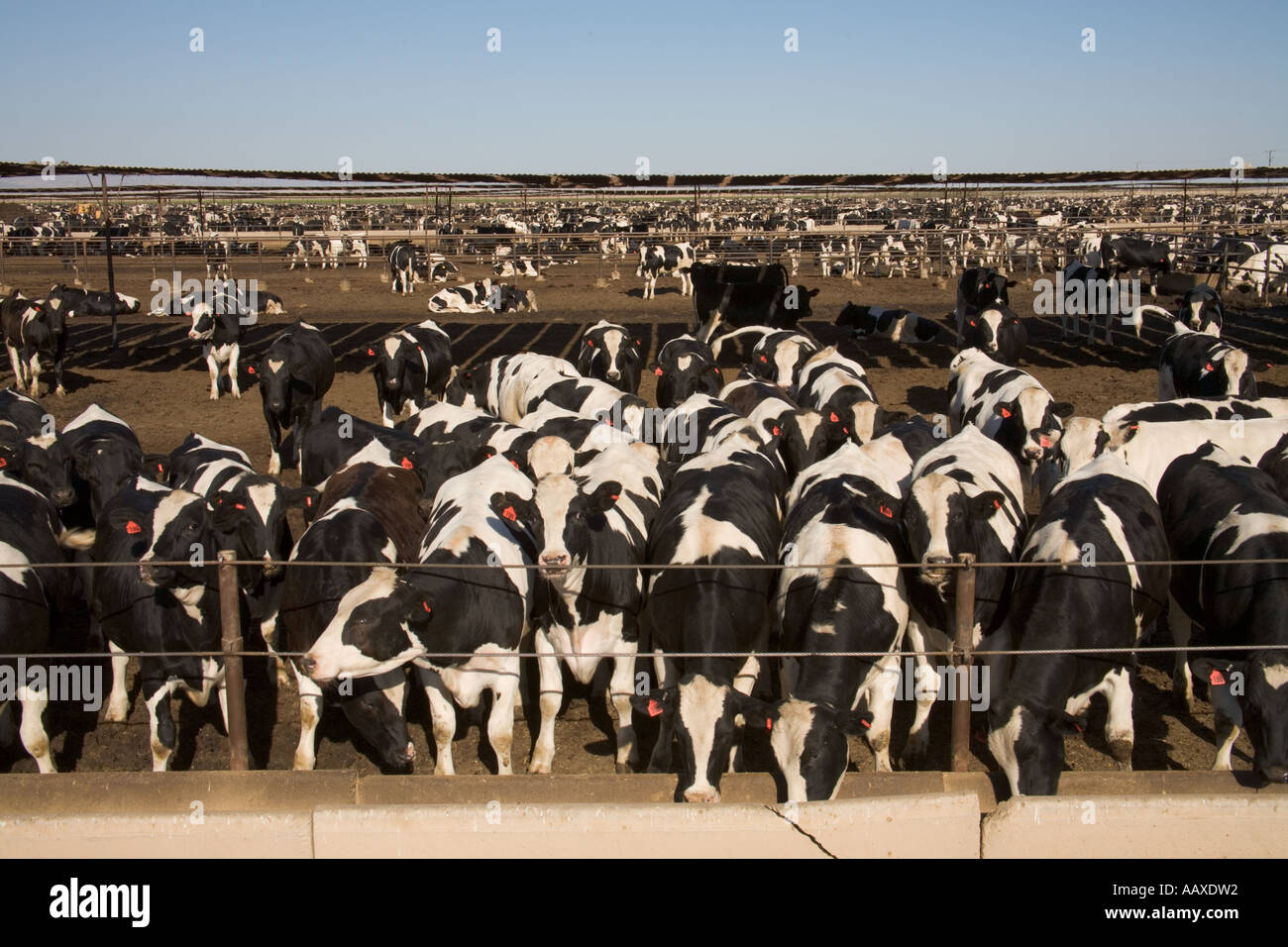 Calipatria High Resolution Stock Photography and Images - Alamy