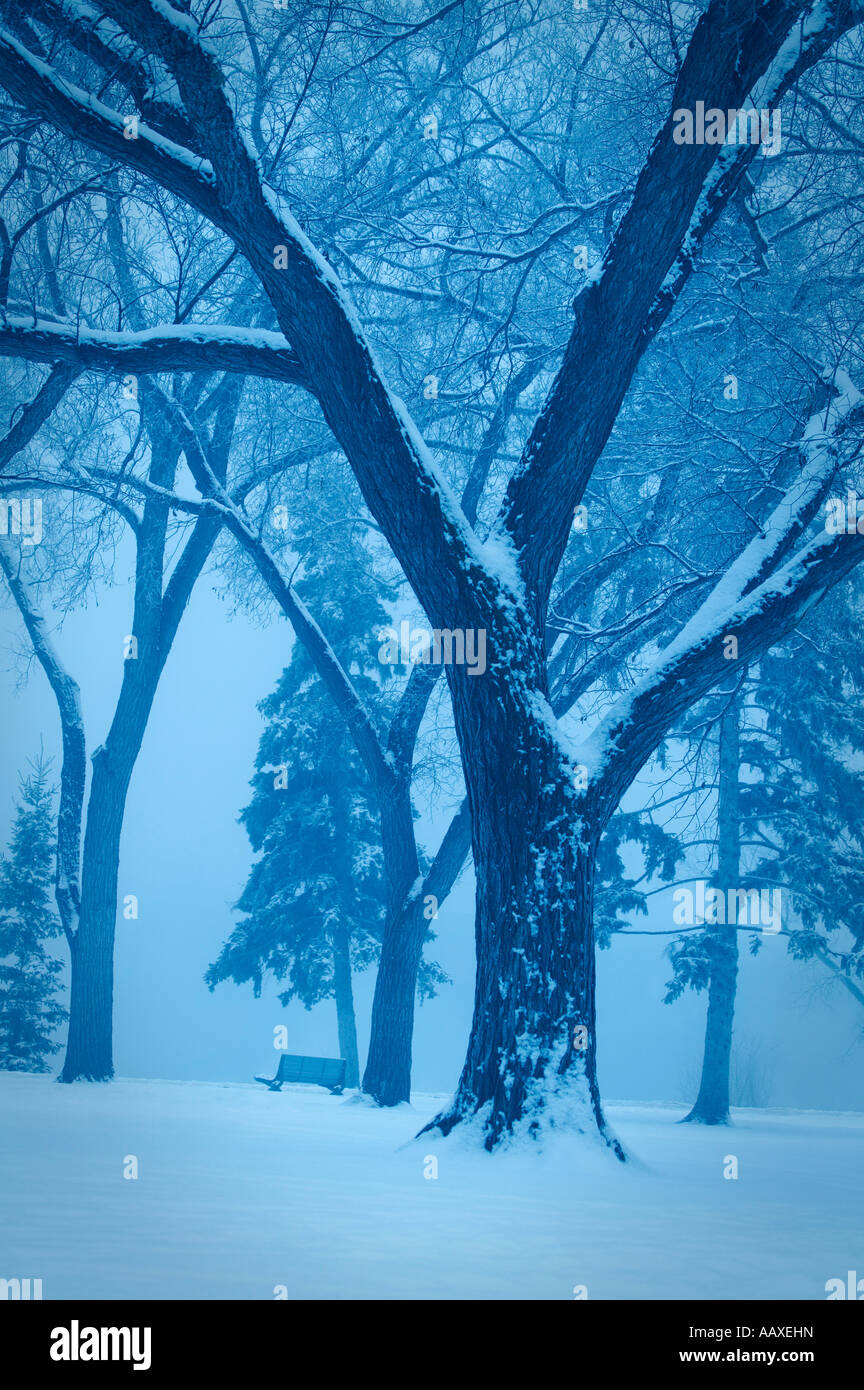 Ladenwithsnow hi-res stock photography and images - Alamy