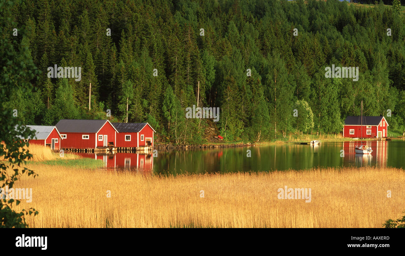 Red country houses along inland waterways on the High Coast of ...
