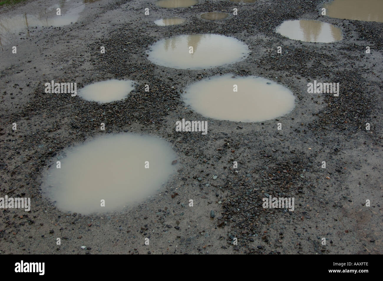Potholes filled with rain water in a Snoqualmie River Valley roadway ...