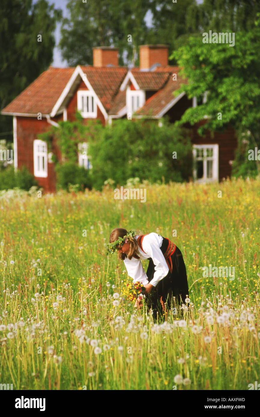 Girl in colorful Midsummer dress picking wildflowers in Sweden Stock ...