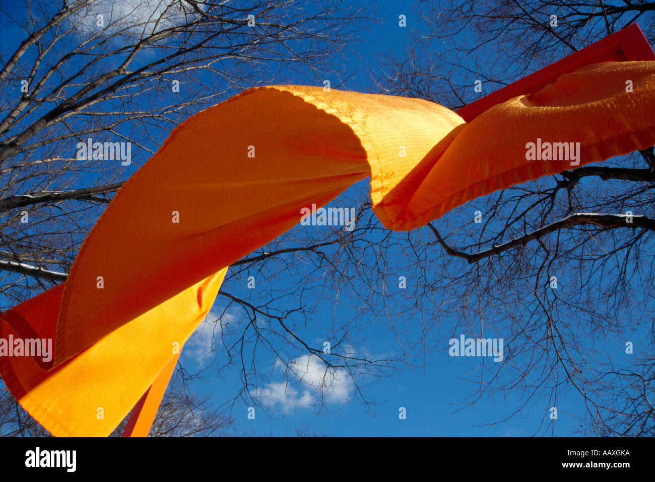 A flag from the Christo exhibit "the gates" blowingin the breeze at ...