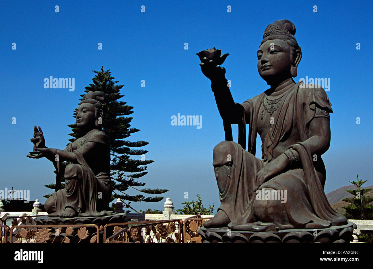 Statues, Po Lin Monastery, Lantau Island, Hong Kong, China Stock Photo ...
