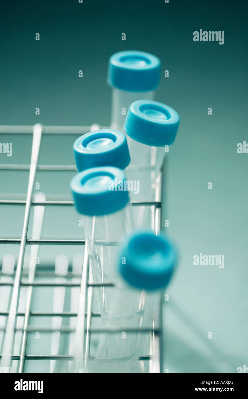 test tubes in rack Stock Photo - Alamy