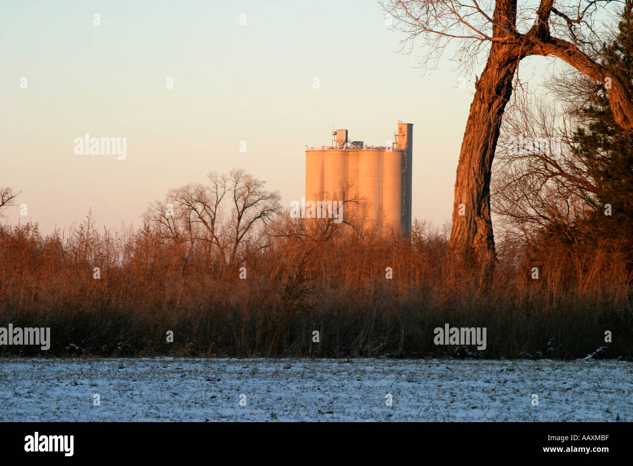 Grain Elevator at Sunset Stock Photo - Alamy