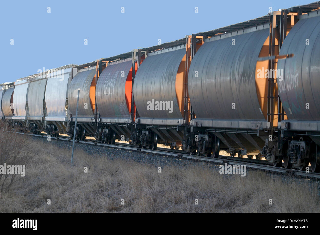 TRAINS transporting grain to the shipping points Stock Photo - Alamy