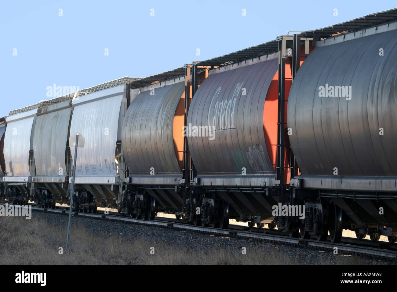 TRAINS transporting grain to the shipping points Stock Photo - Alamy