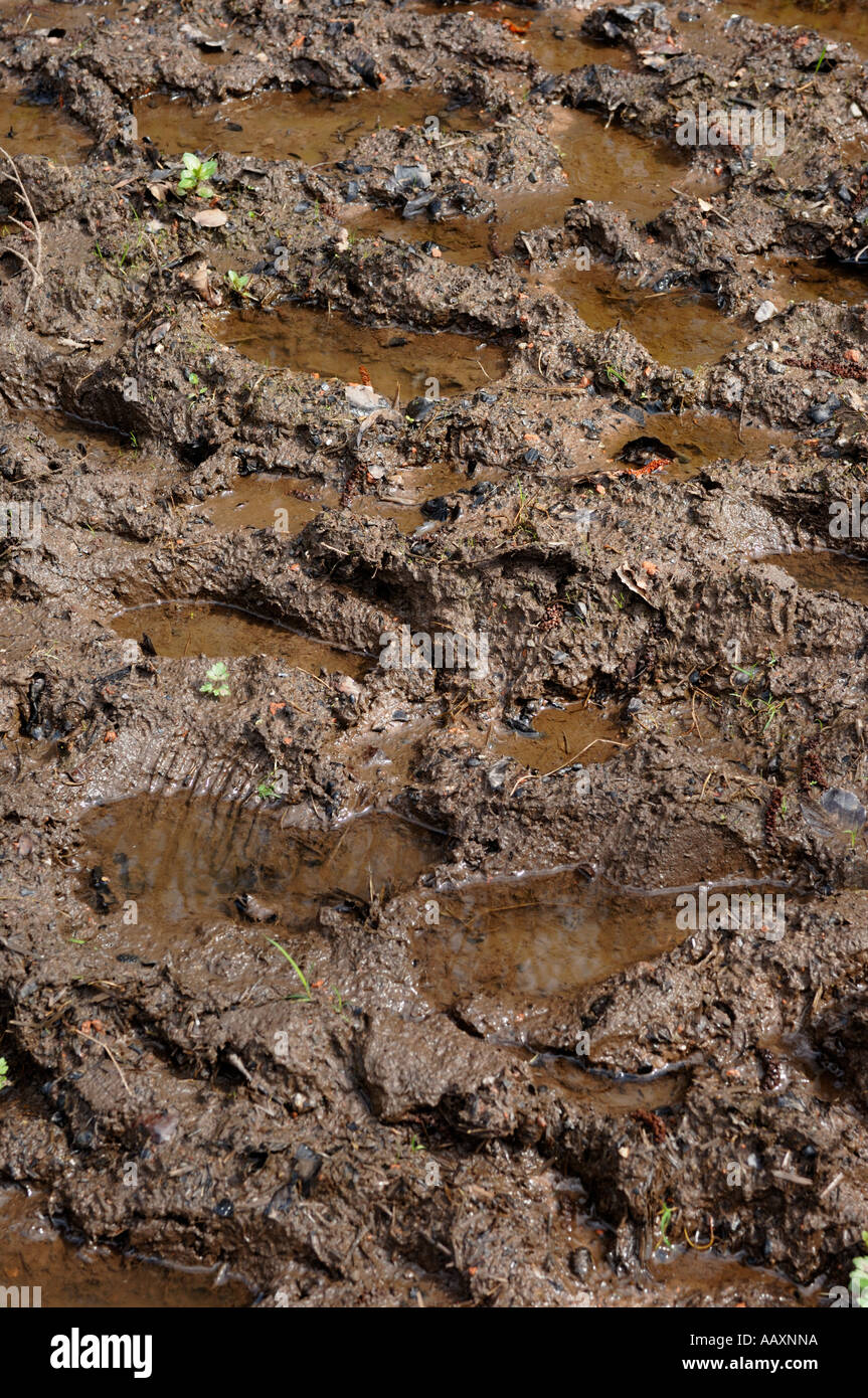 Muddy footprints hi-res stock photography and images - Alamy