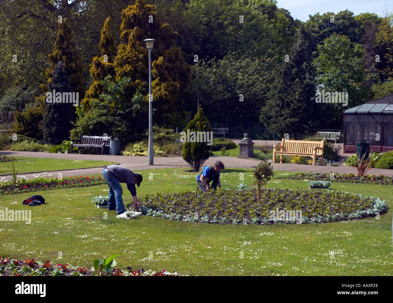 Council workers planting annuals in the grounds of the William Morris ...