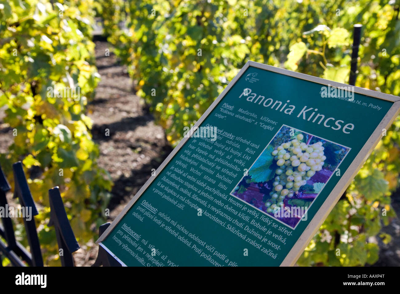 Botanicka zahrada praha hi-res stock photography and images - Alamy