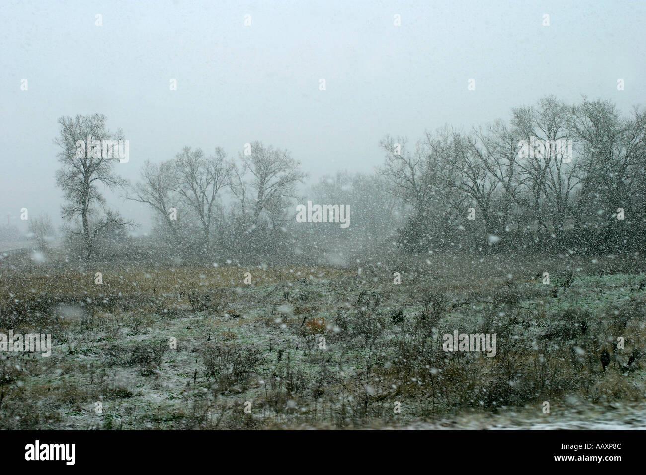 Nebraska winter storm hi-res stock photography and images - Alamy