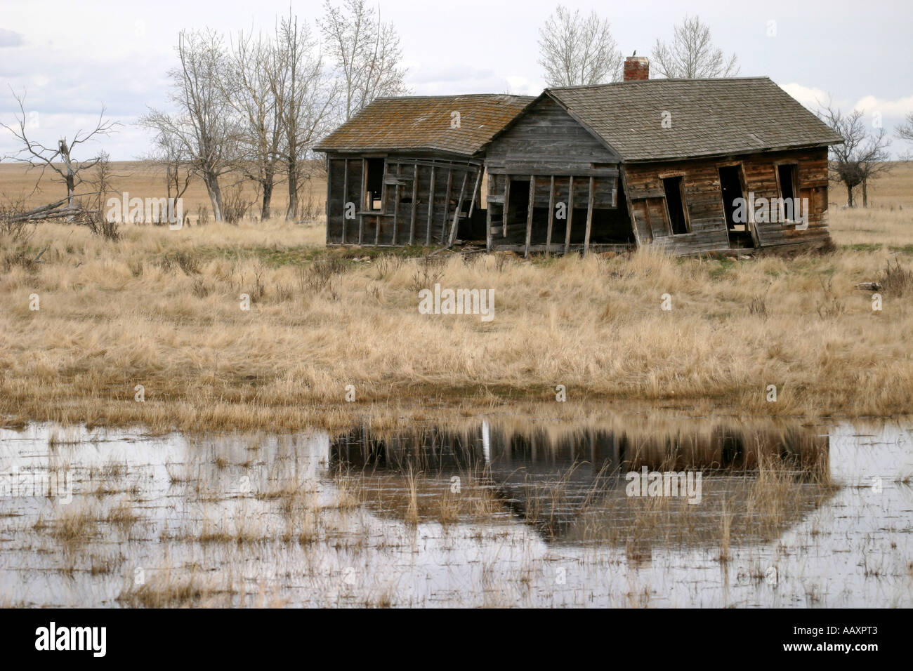 Old abandoned homestead house Stock Photo - Alamy