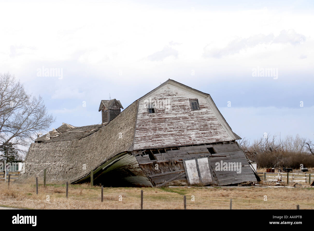 Sway back hi-res stock photography and images - Alamy