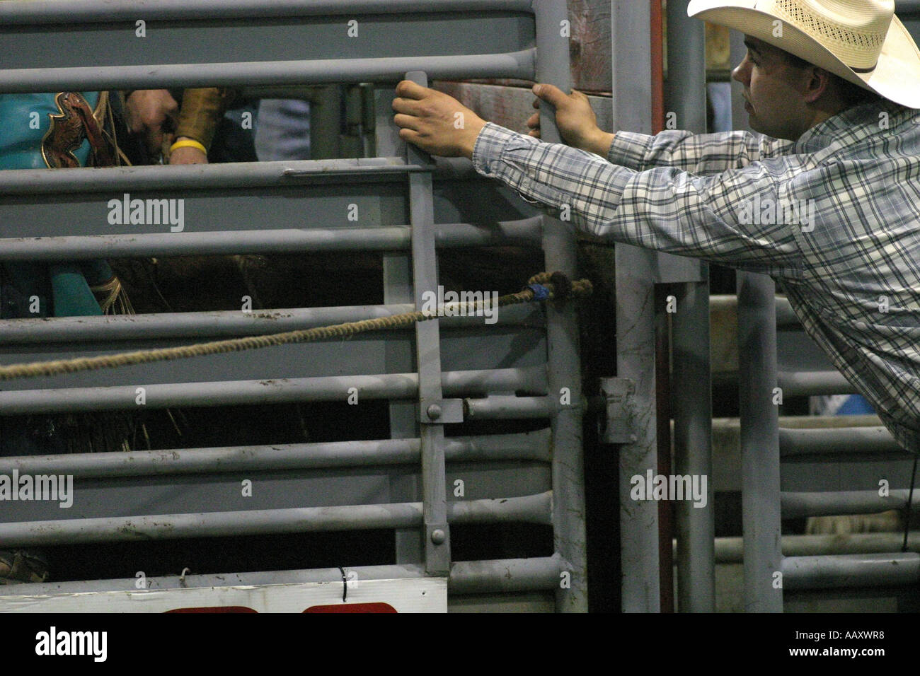 Rage cage hi-res stock photography and images - Alamy