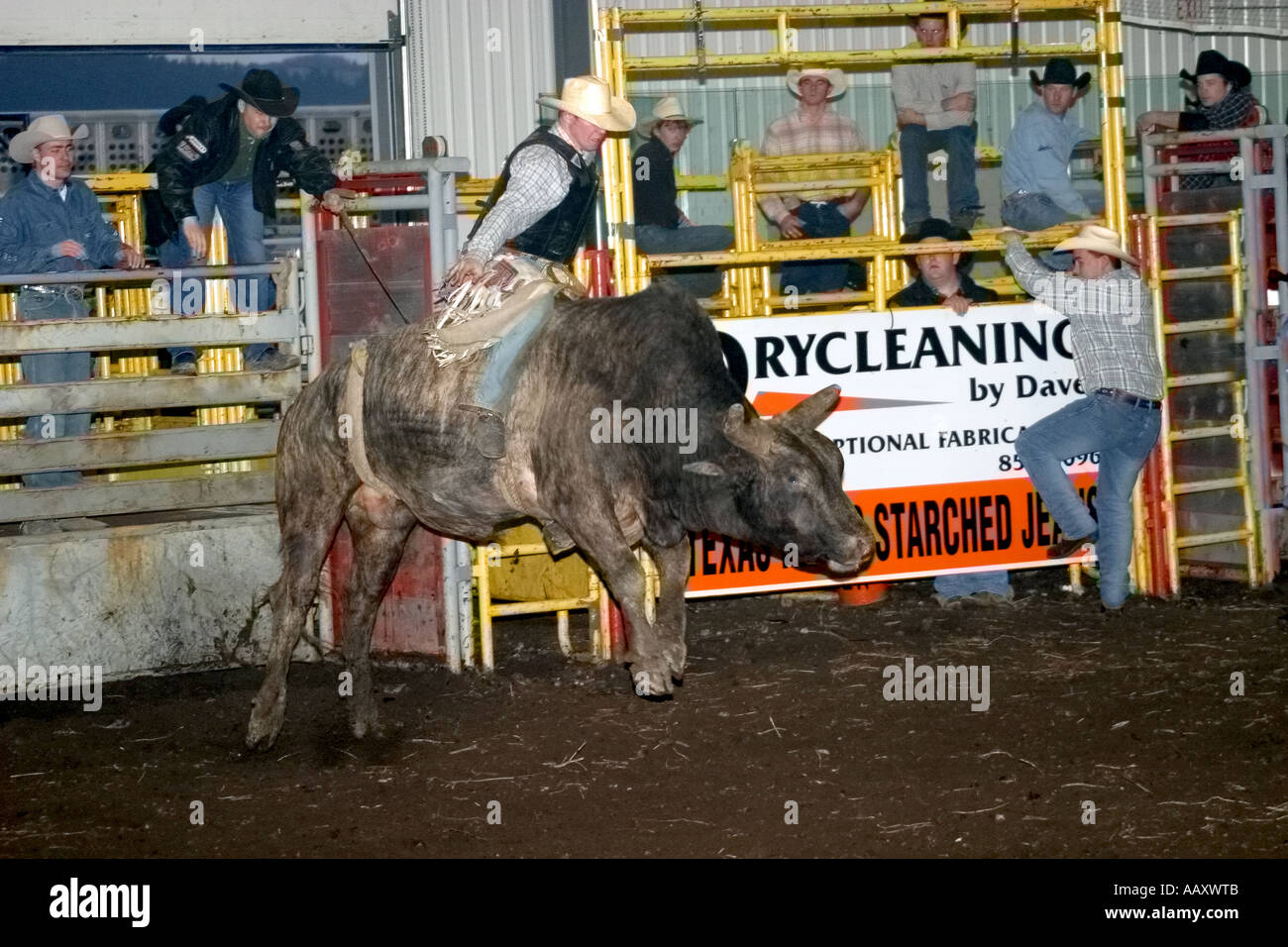 Rage cage hi-res stock photography and images - Alamy