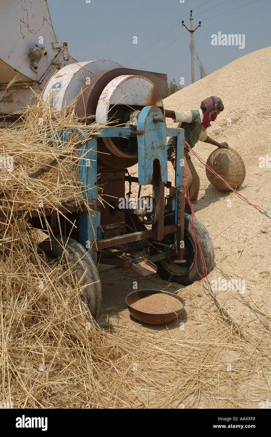 Threshing by machine of crop wheat Village Mahangwa District ...