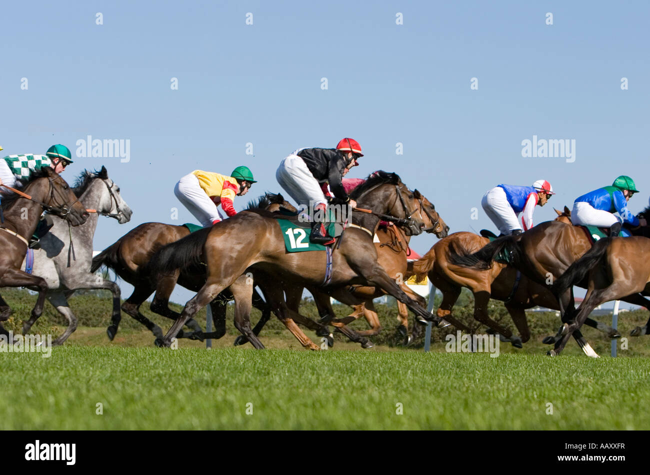 Horse racing ground hi-res stock photography and images - Alamy