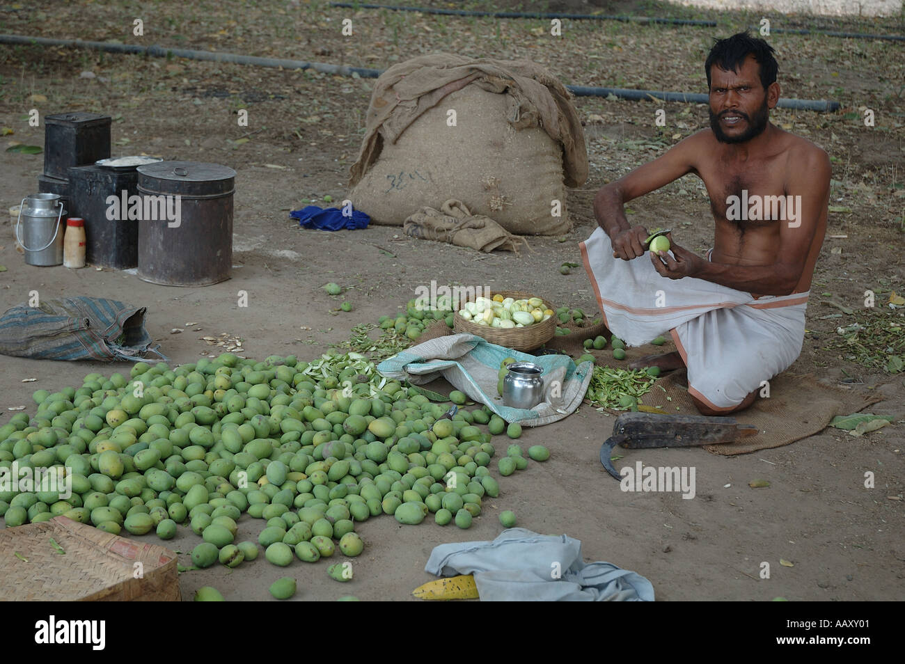 Langda mango peeling Village Mahangwa District Narsinghpur Madhya ...