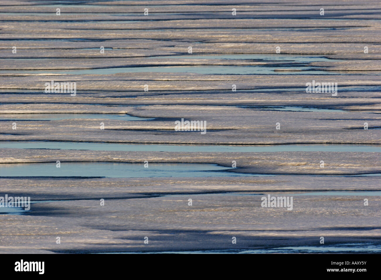 Horizontal composition of melting pools on the sea ice of the Arctic ...