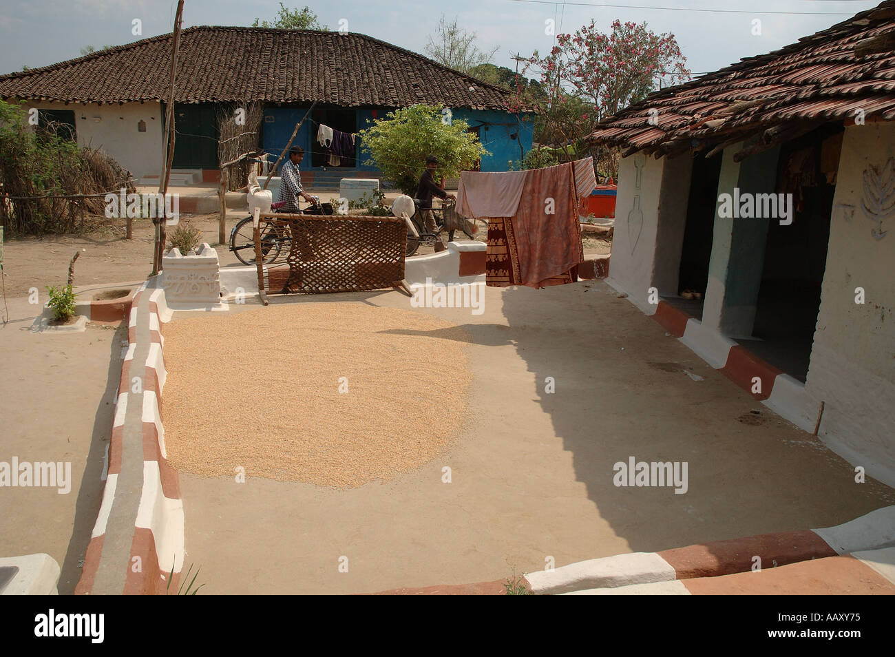 Thatched cow dung plastered house in Village Manghawa District ...