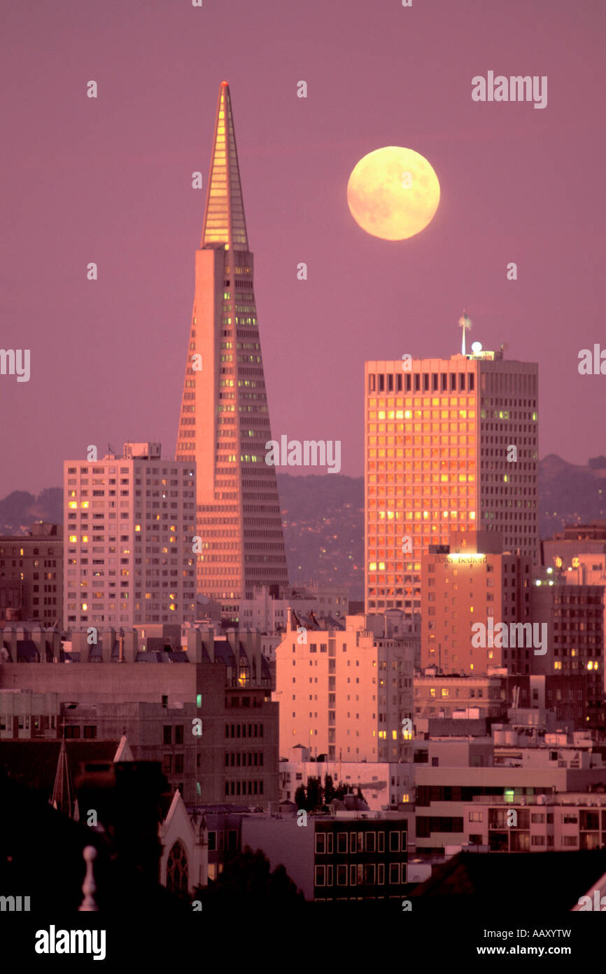 Transamerica pyramid building and the San Francisco skyline and ...