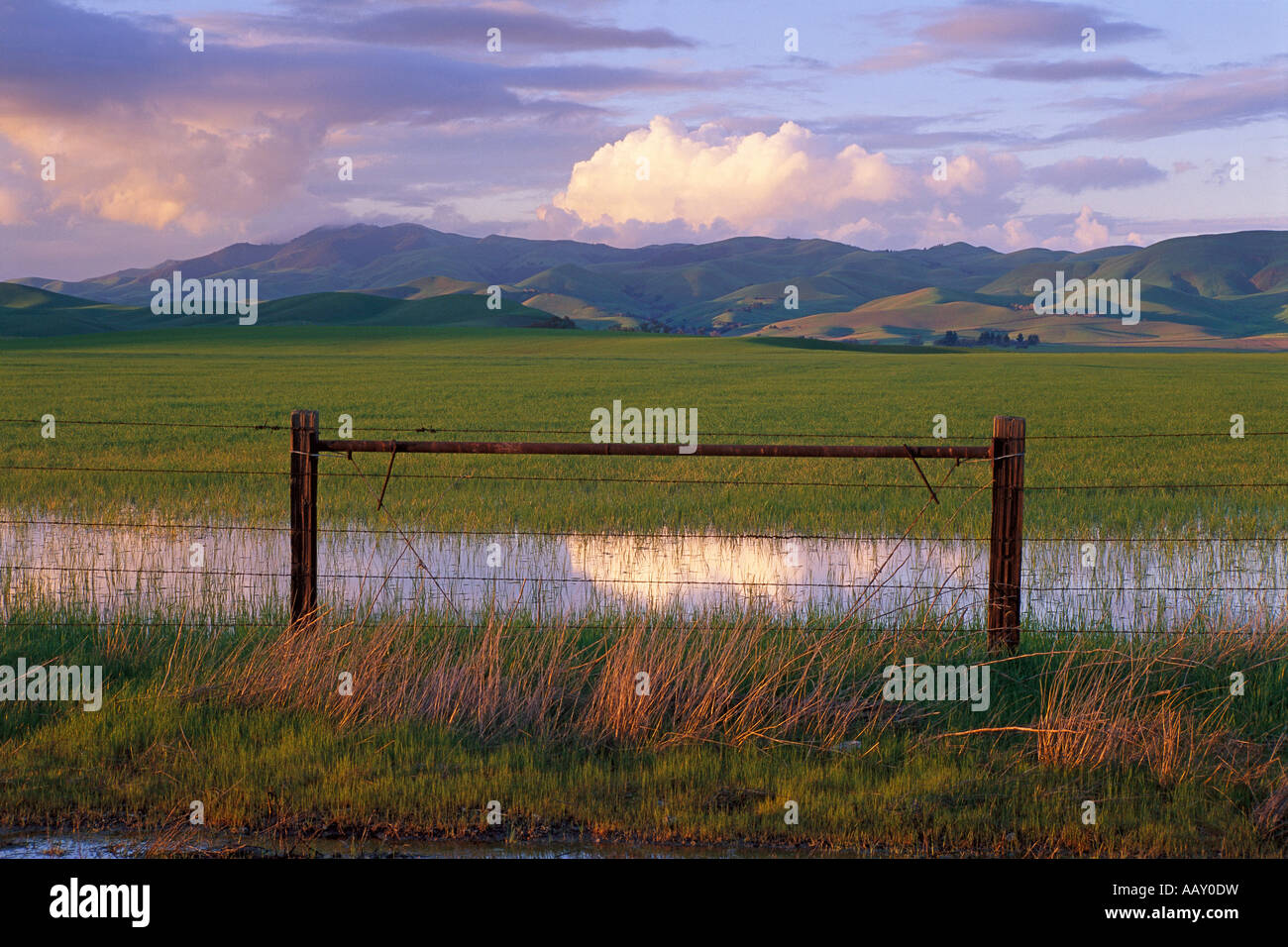 barbed wire fence around open spaces and undevleoped pastures near ...