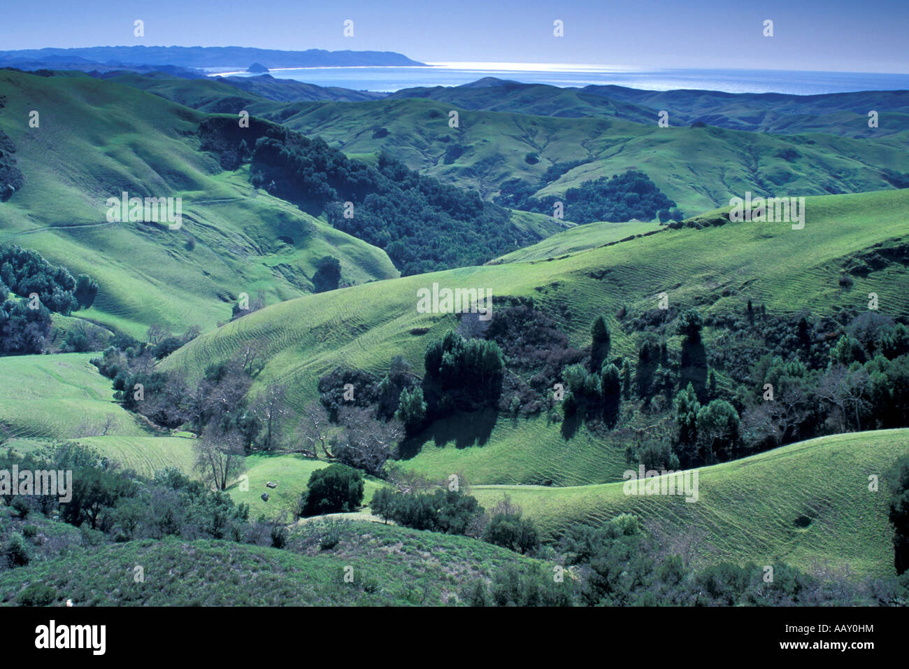 open undeveloped land near Morrow Bay along the California Pacific ...