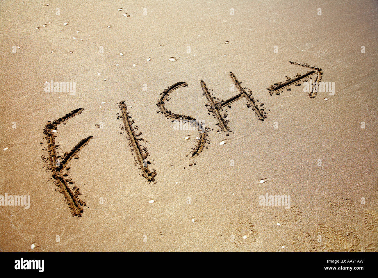 Word fish drawn in the sand pointing to sea Stock Photo - Alamy
