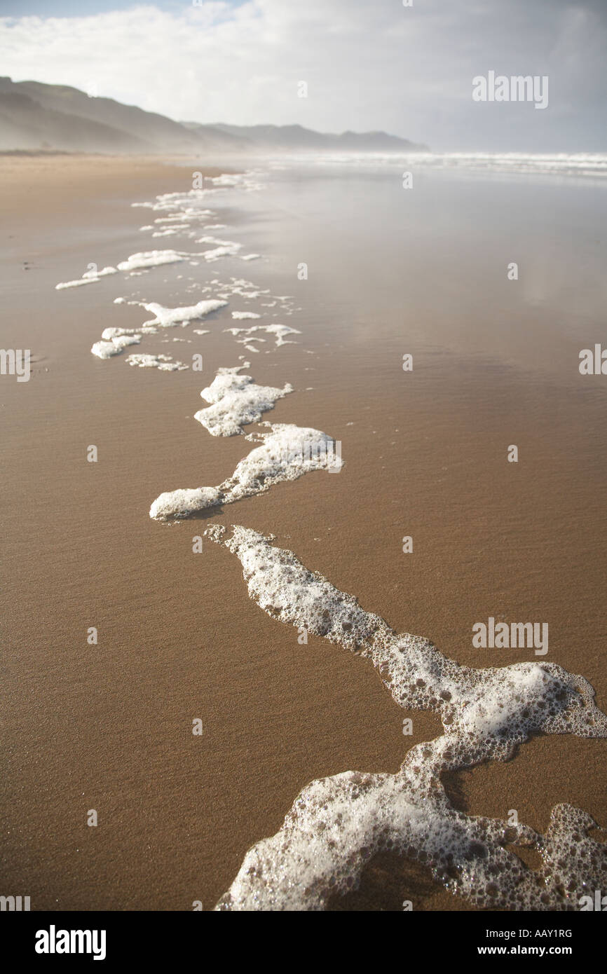 foam on the beach from big sea Stock Photo - Alamy