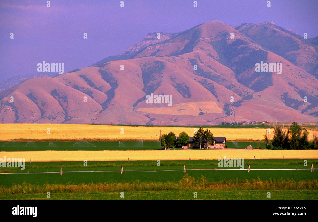 Green yellow fields farming skyline hi-res stock photography and images ...