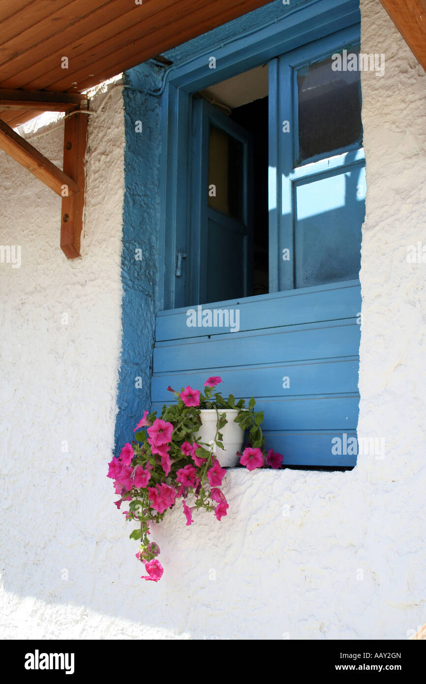Beautiful Pink flowers in Mediterranean looking window Stock Photo - Alamy