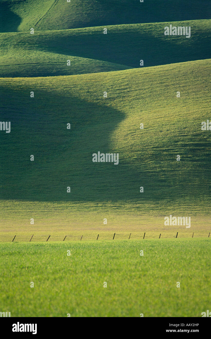 Green pastureland in spring rolling hills LIvermore California vertical ...