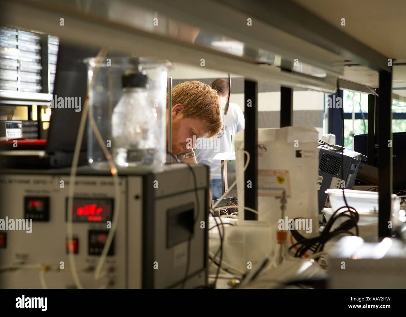 Scientist working in a laboratory Stock Photo - Alamy