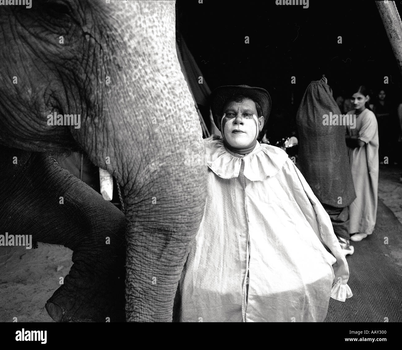 Many artists have a strong bond with the animals The Apollo circus ...