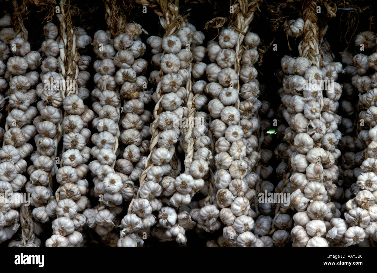 Garlic strand hi-res stock photography and images - Alamy