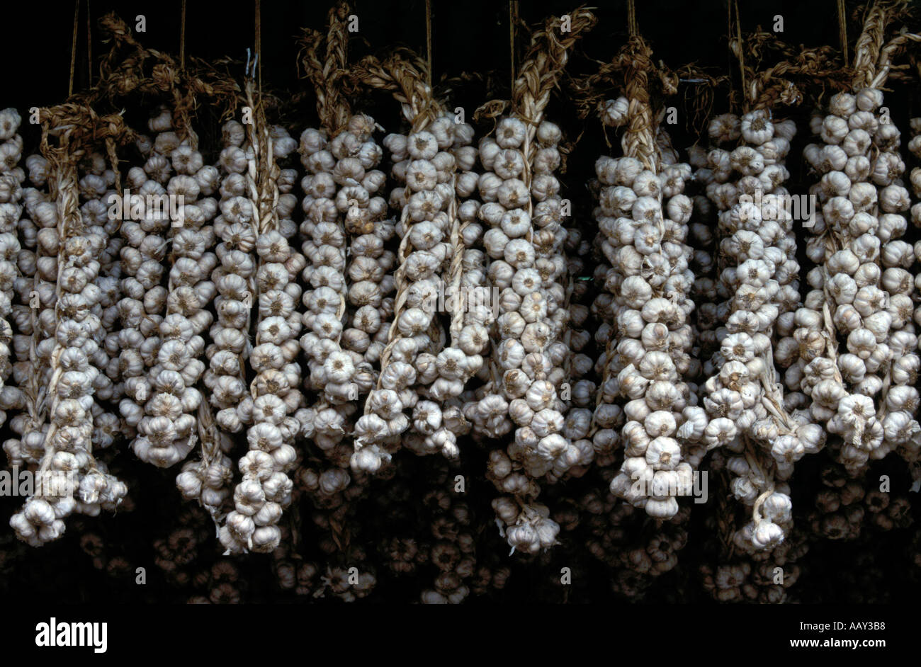 Garlic strand hi-res stock photography and images - Alamy